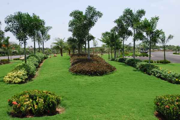Tropics Landscape|| Best Landscaping company in South India